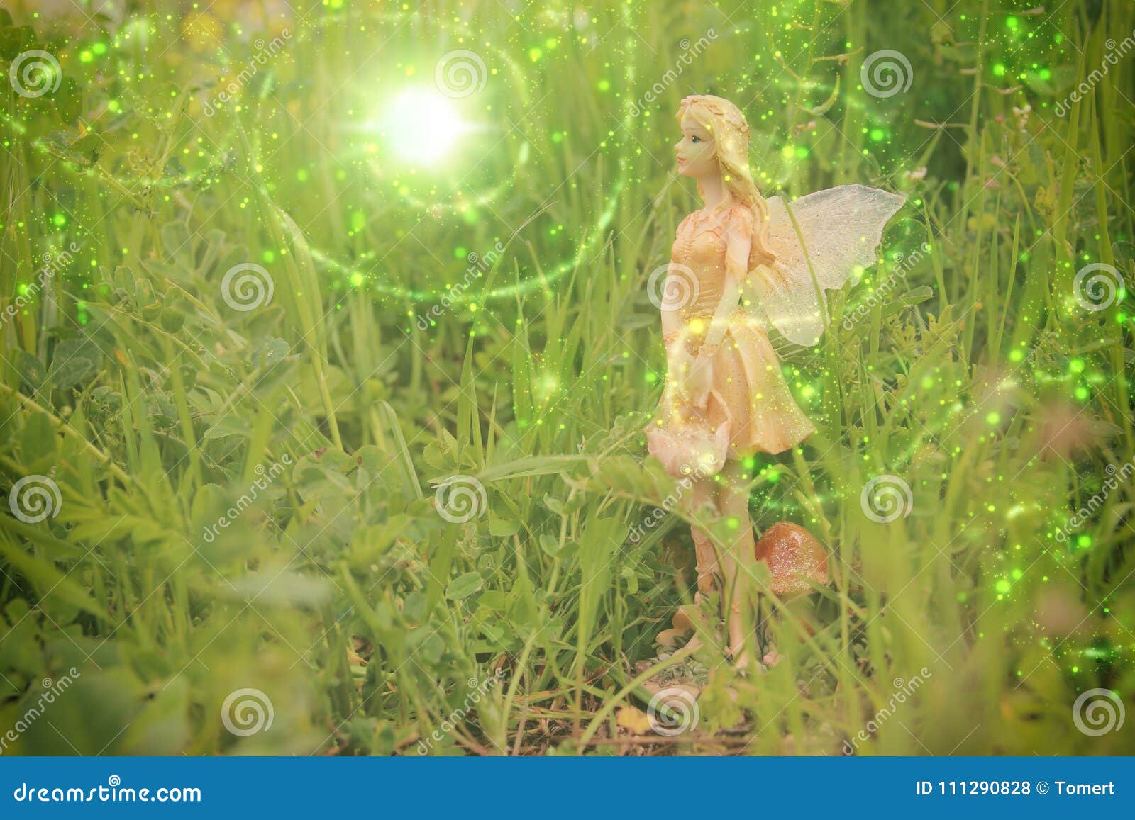 Image of Magical Little Fairy in the Forest. Stock Photo - Image of ...
