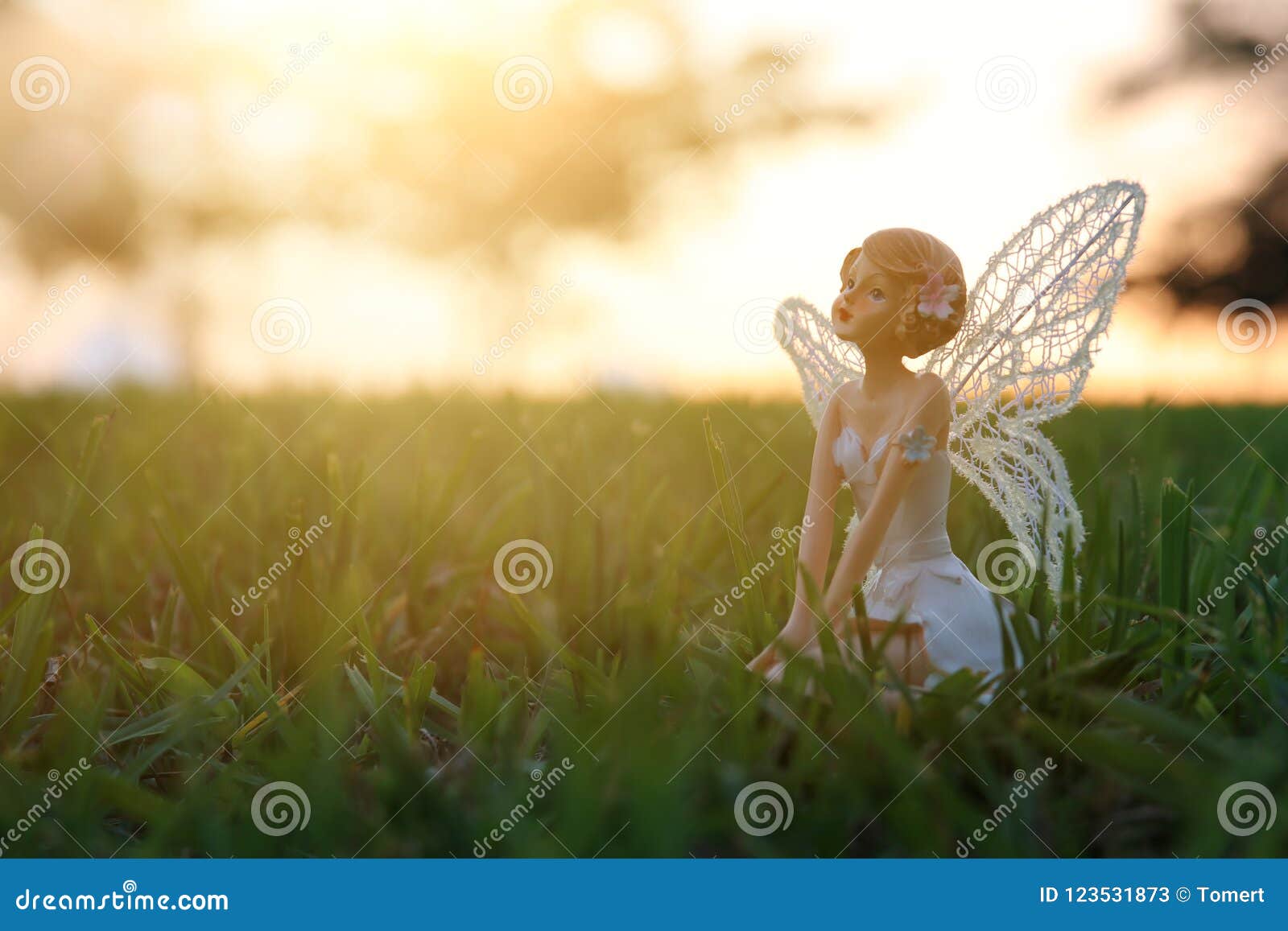 Image of Magical Little Fairy in the Forest at Sunset. Stock Image ...