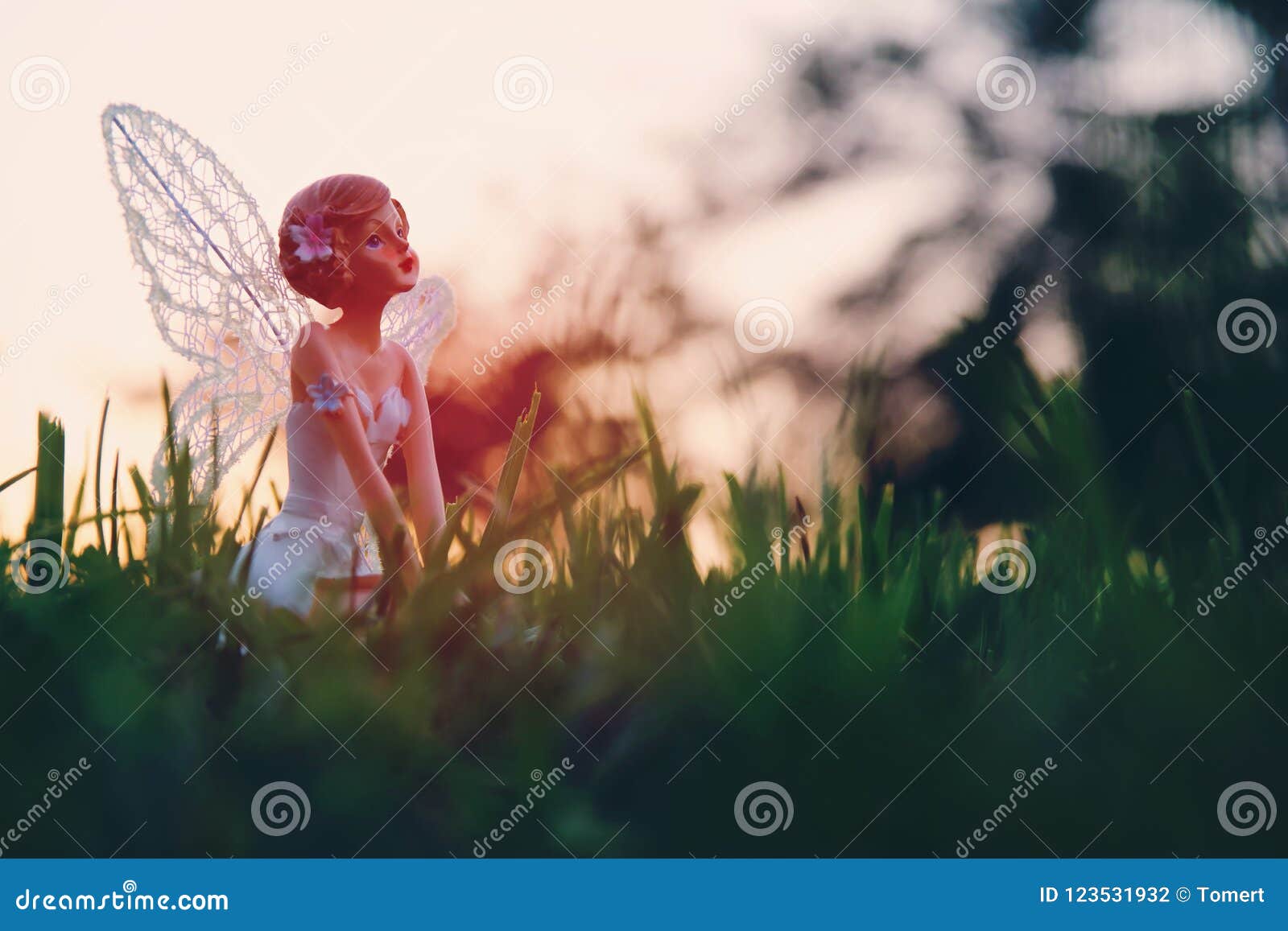 Image of Magical Little Fairy in the Forest at Sunset. Stock Photo ...