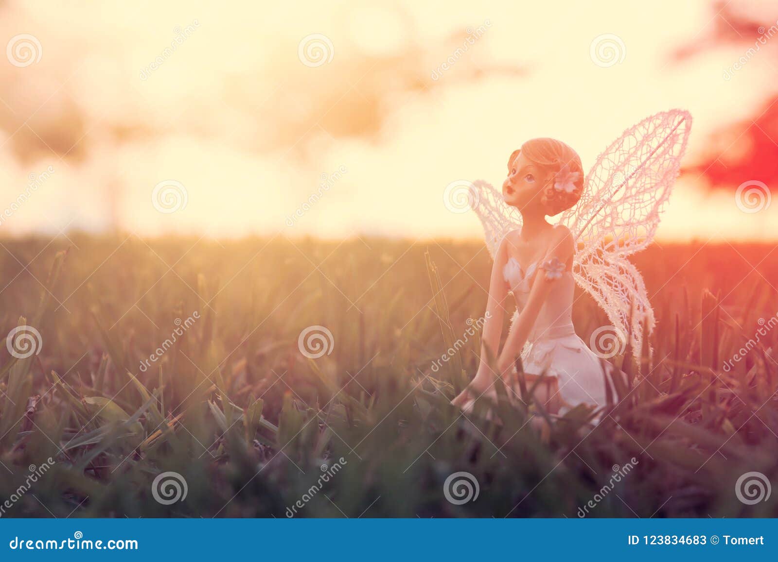 Image of Magical Little Fairy in the Forest at Sunset. Stock Image ...