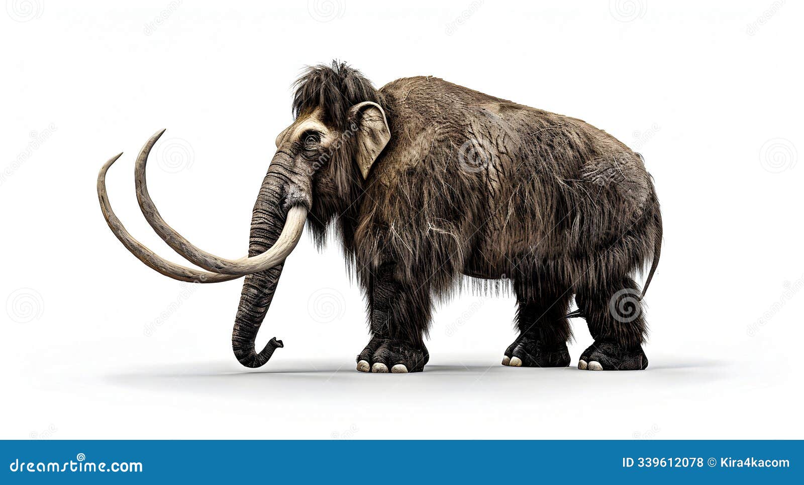 Image of a Mammoth on a White Background Stock Photo - Image of grey ...