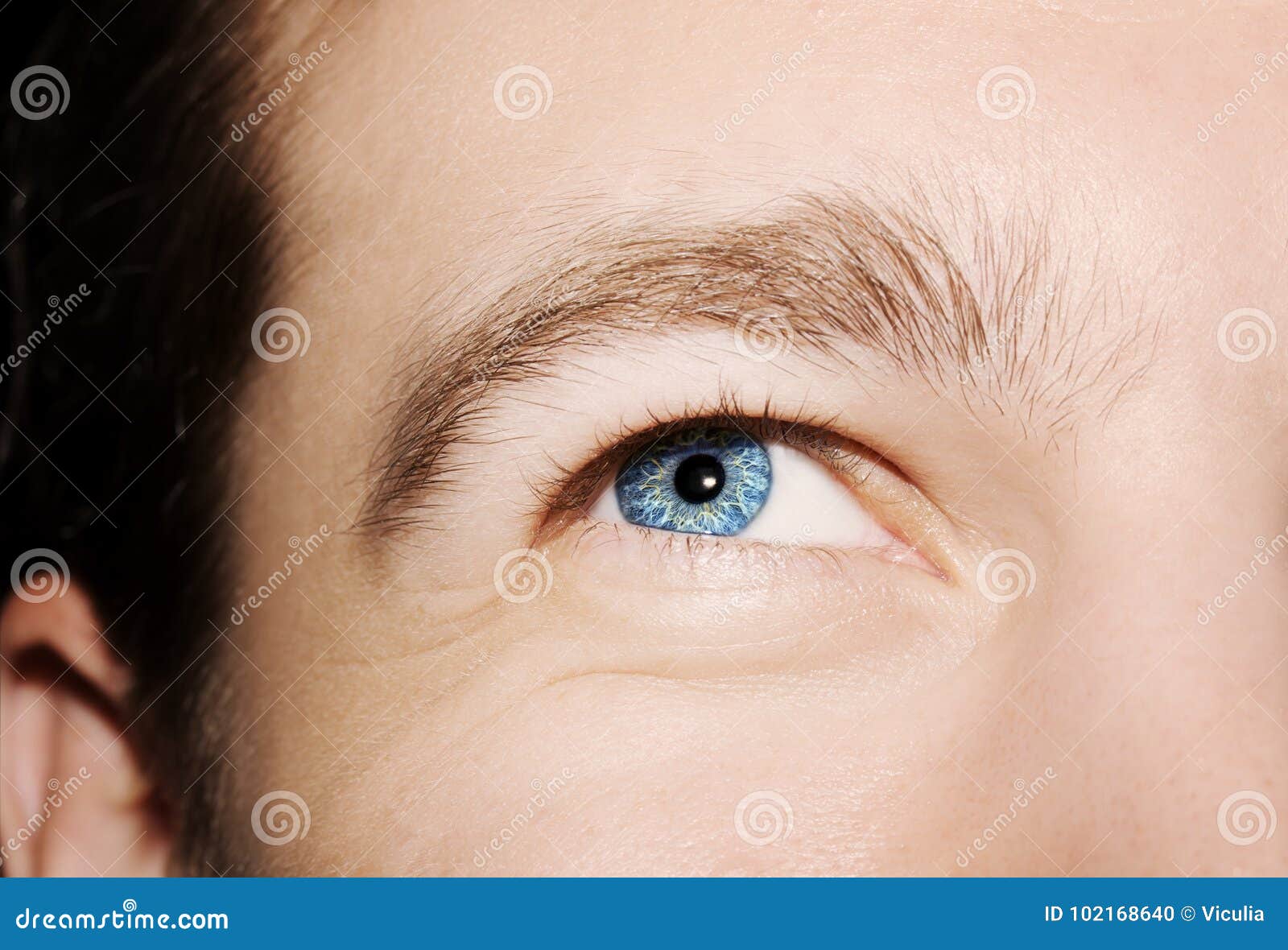 Image of man`s blue eye stock photo. Image of european - 102168640