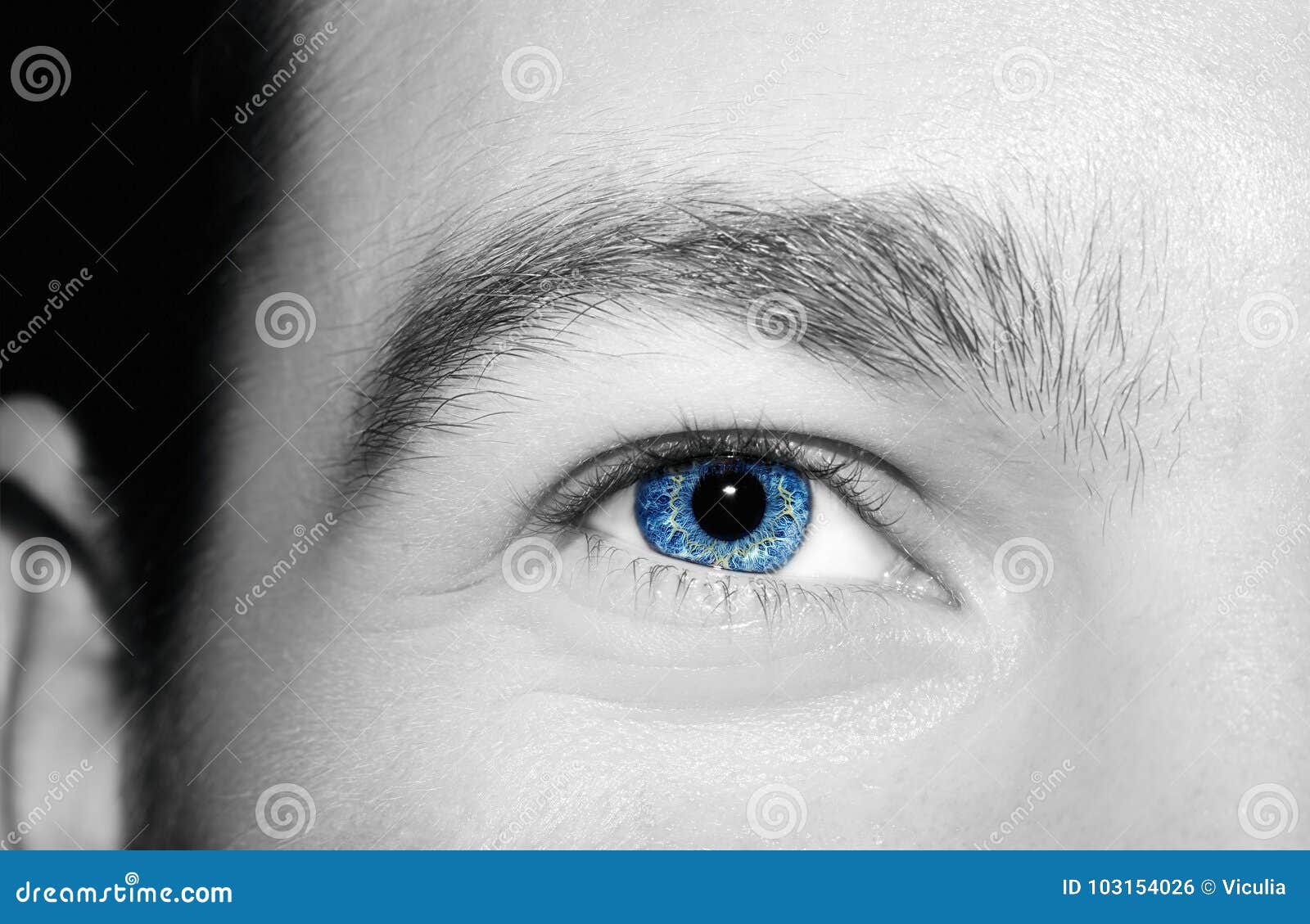 Image of man`s blue eye stock photo. Image of brunette - 103154026