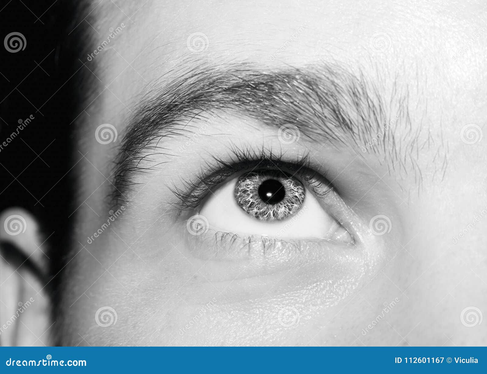 Image of man`s blue eye stock image. Image of gorgeous - 112601167