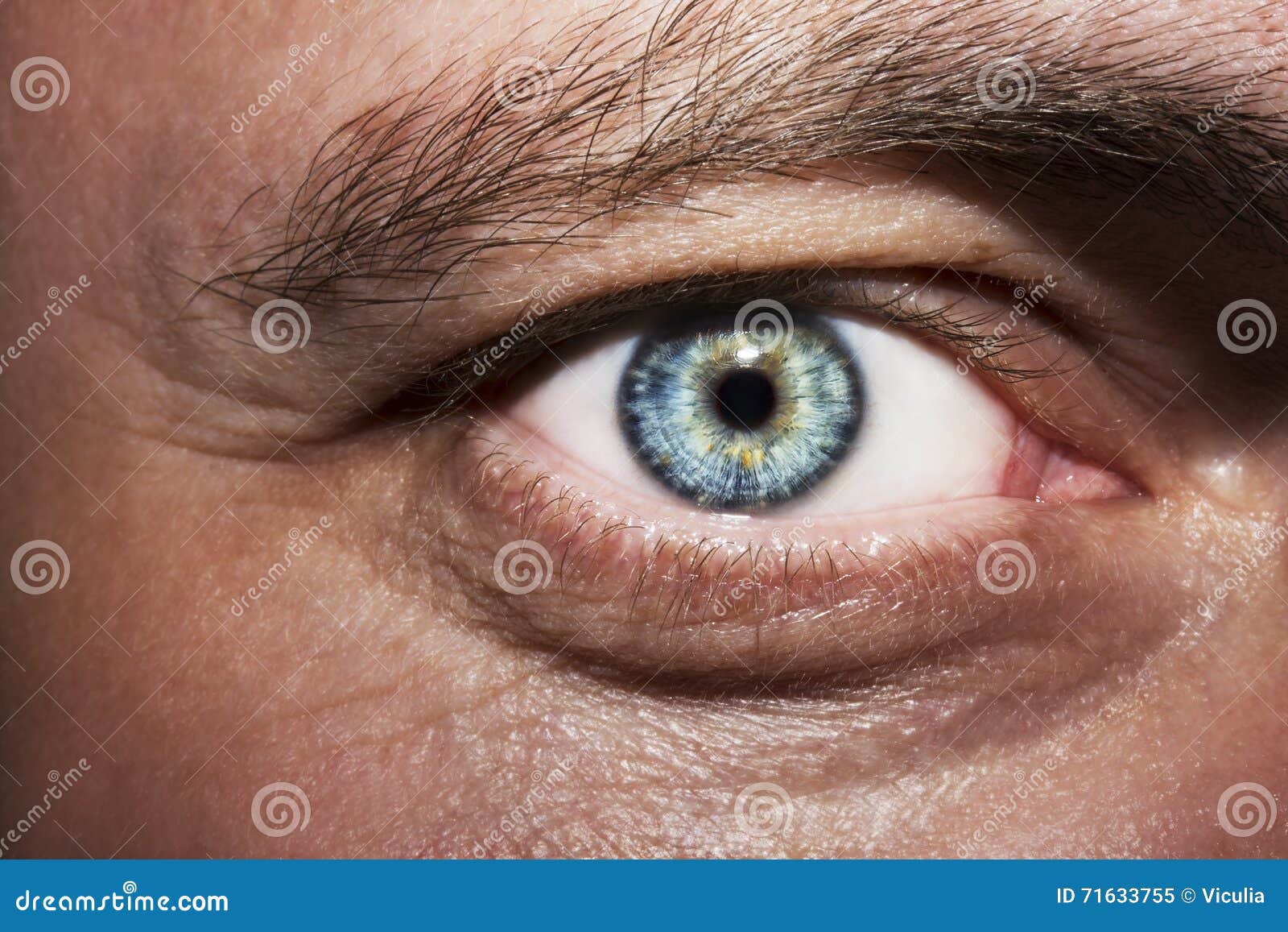Image of Man`s Blue Eye Close Up Stock Image - Image of european, good ...