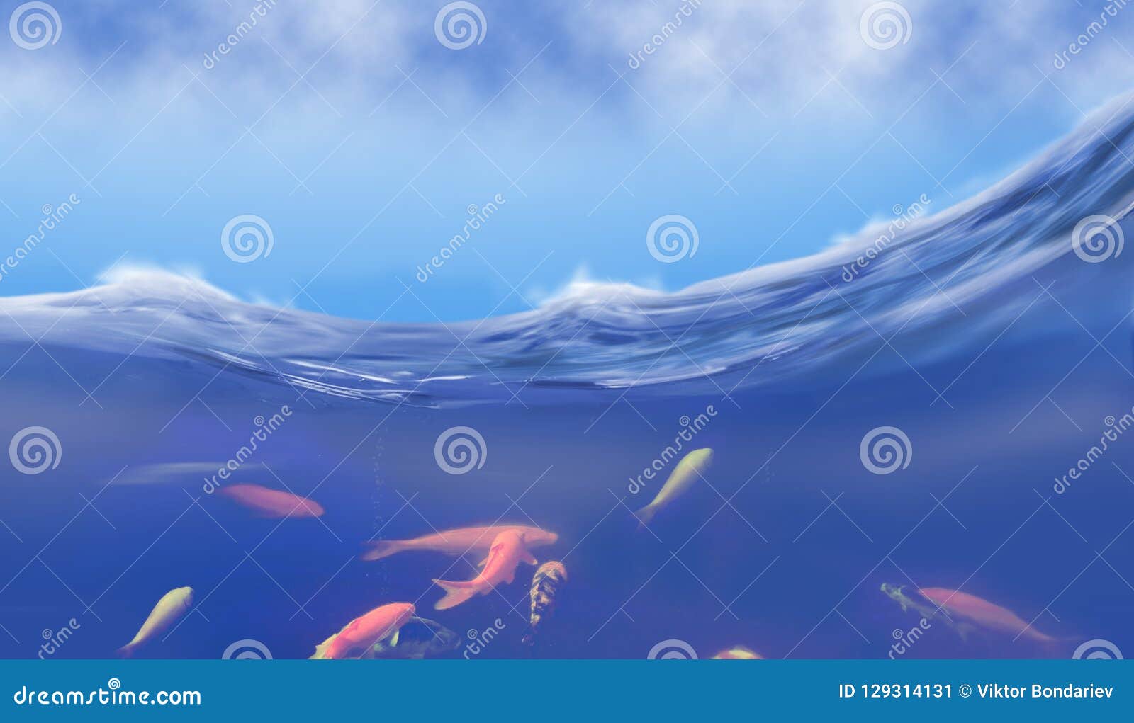 Image of Many Fish in the Sea Closeup Stock Image - Image of marin ...