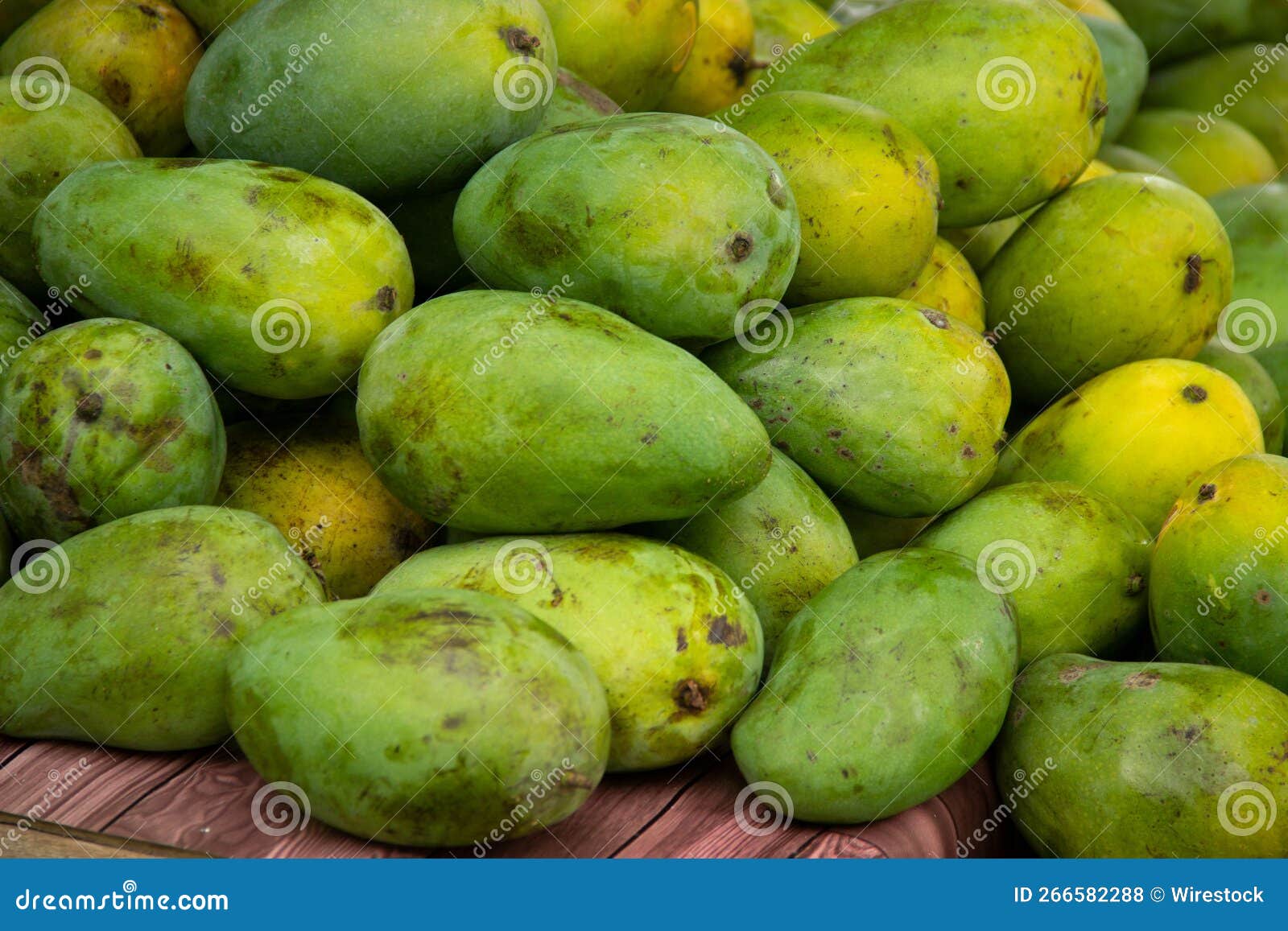 Image of Many Green Mangos on Each Other. Stock Photo - Image of ripe ...
