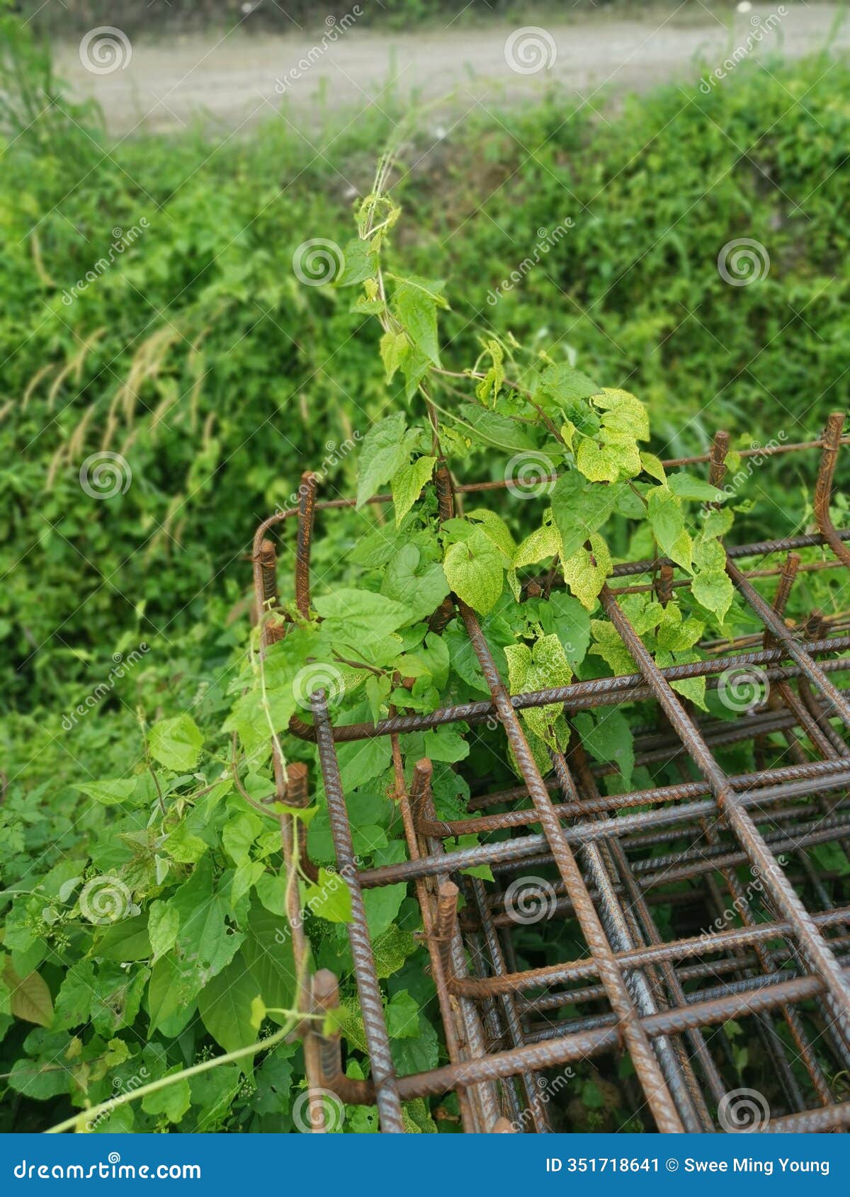 Metal Reinforced Frame or Block Lay on the Construction Site for Usage ...