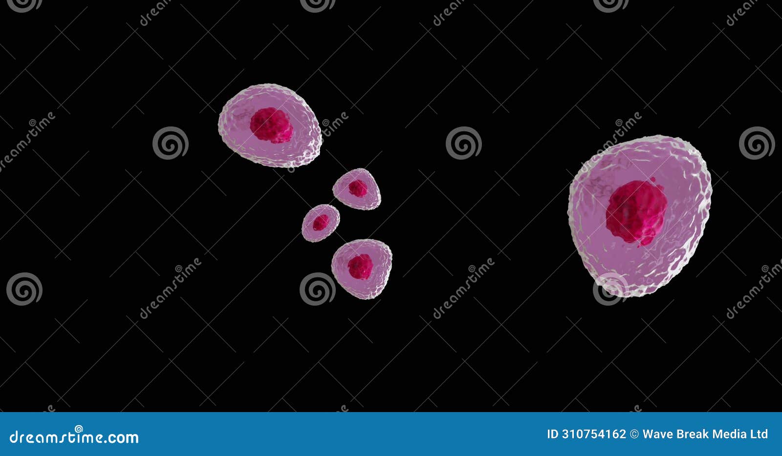Image of Micro of Red and Pink Cells on Black Background Stock Photo ...