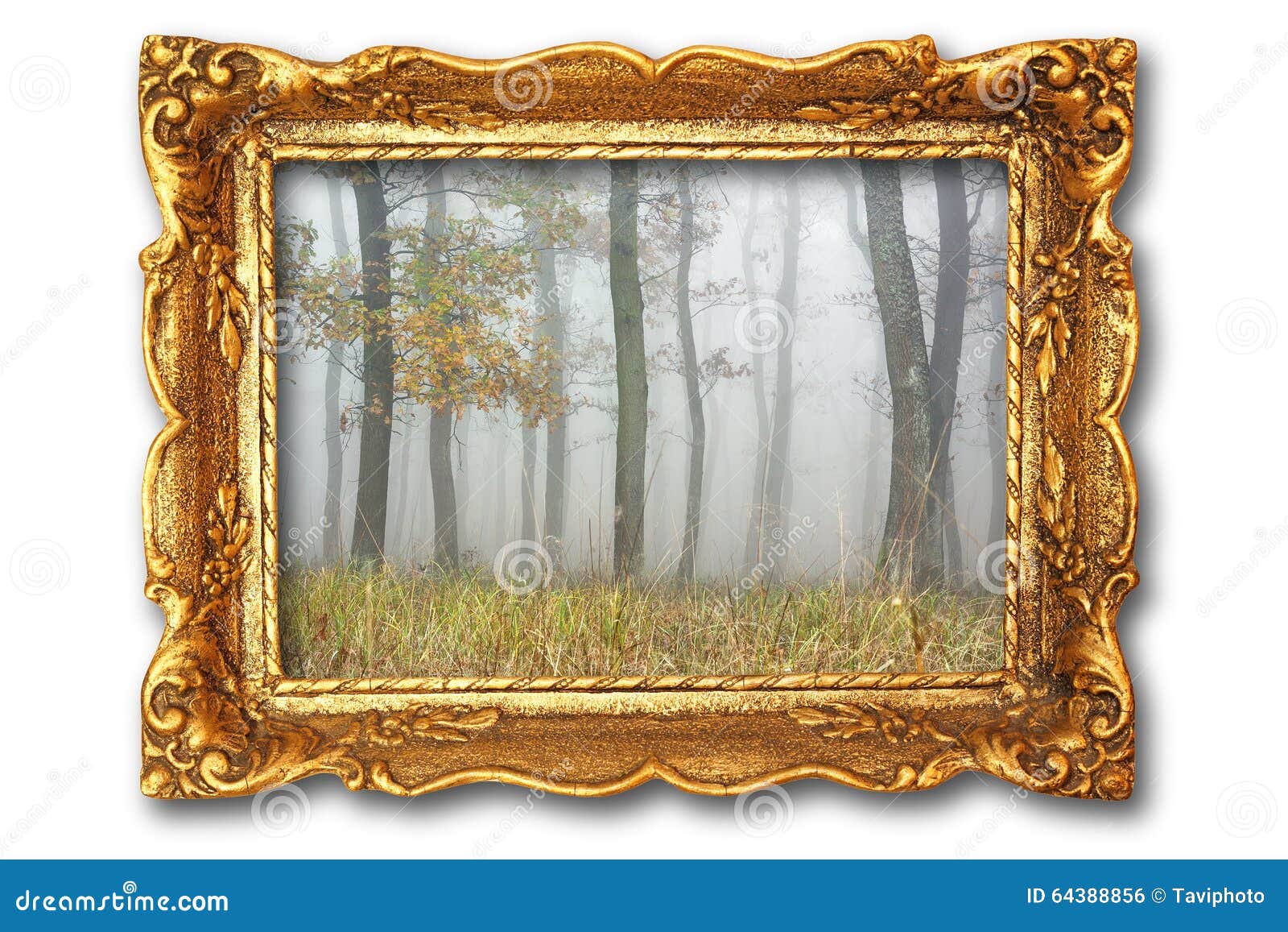 Image with Misty Forest on Ancient Picture Frame Stock Photo - Image of ...