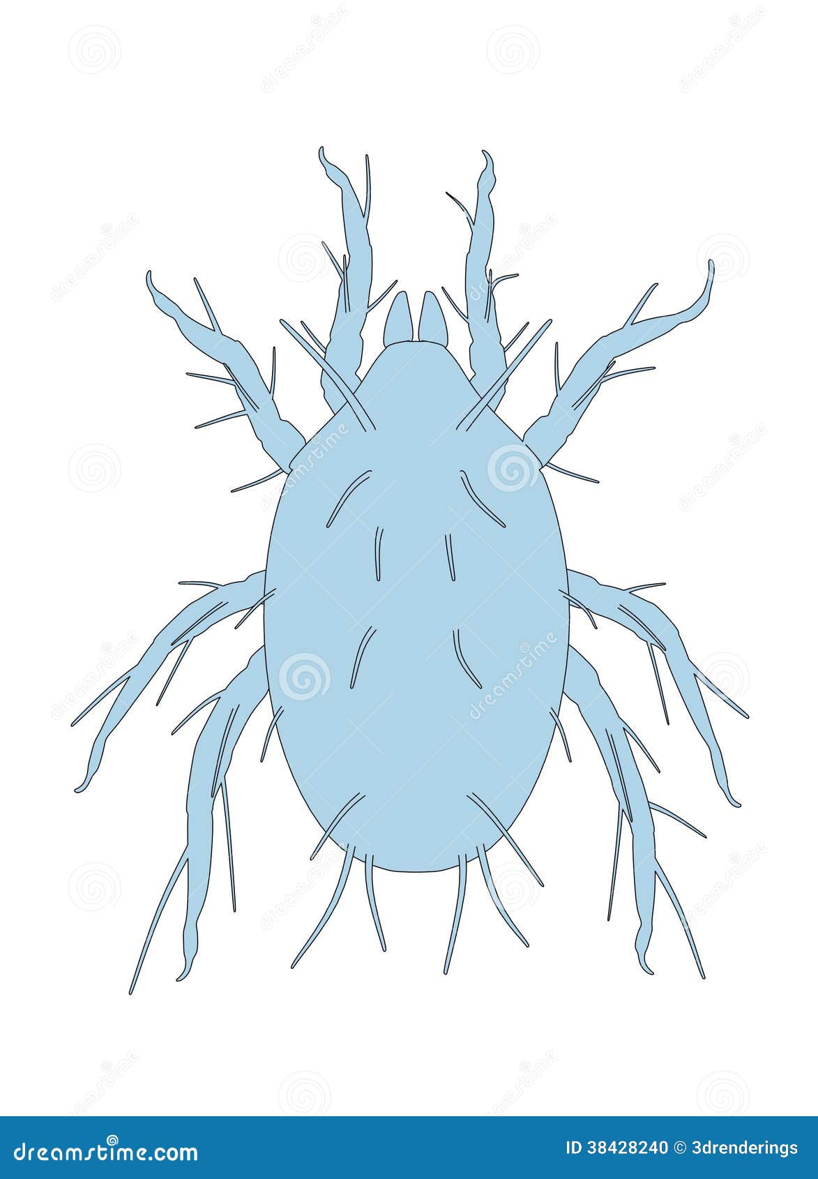 Image of mite animal stock illustration. Illustration of insect - 38428240
