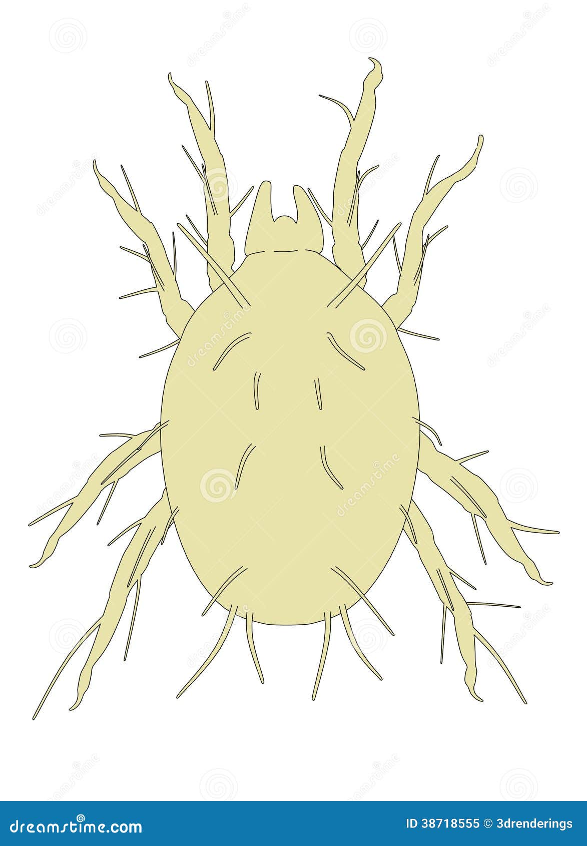 Image of mite animal stock illustration. Illustration of parasite ...