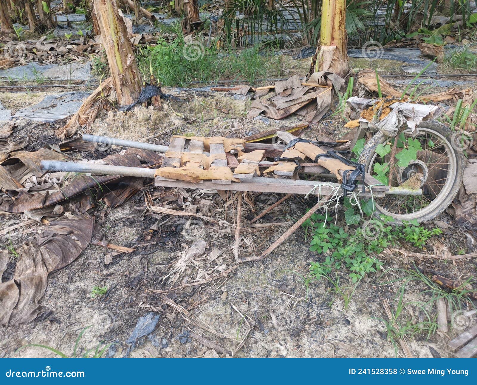 Modified Wheelbarrow With Two Front Wheels Royalty-Free Stock ...