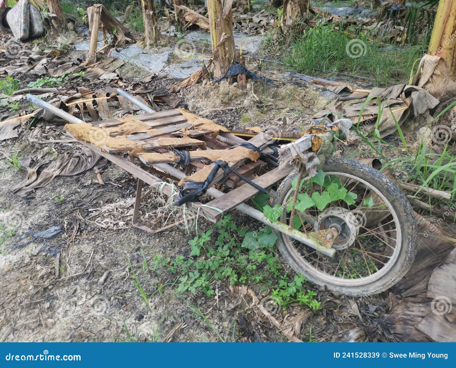 Modified Wheelbarrow With Two Front Wheels Royalty-Free Stock ...