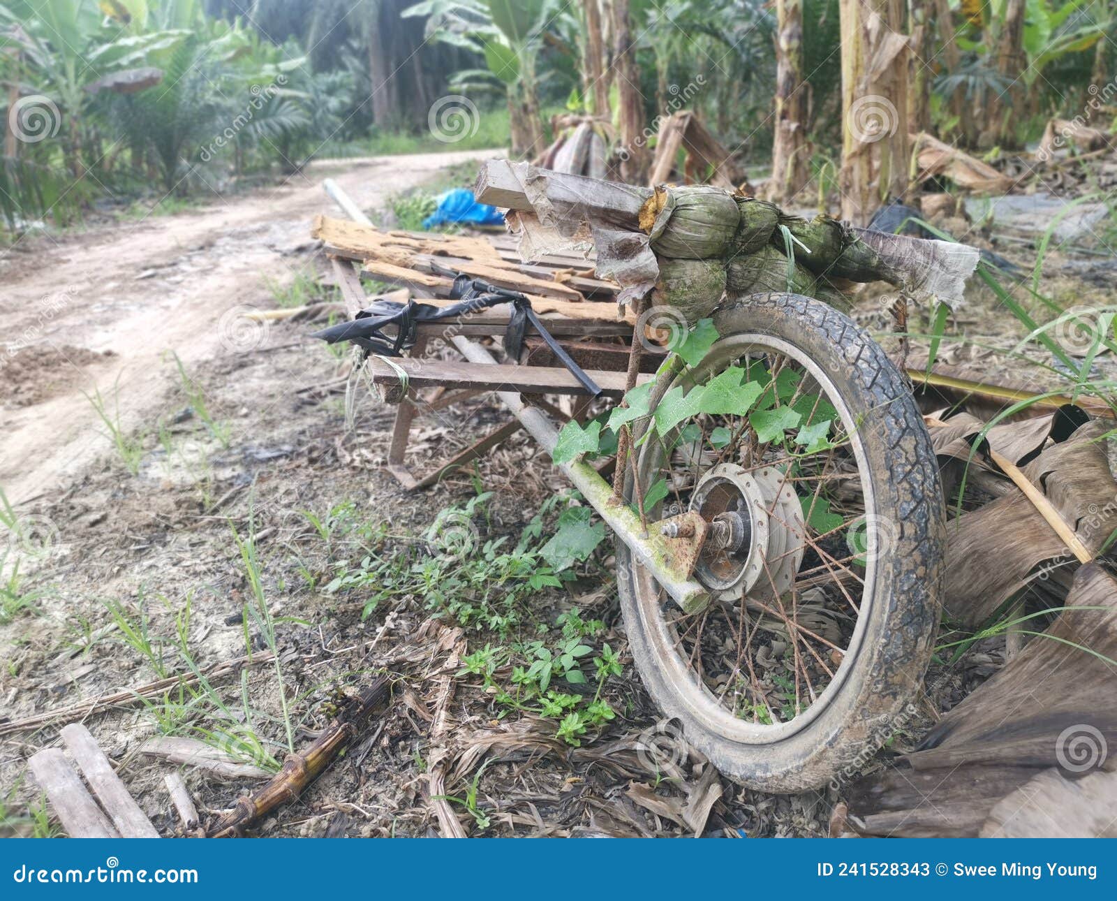 Modified Wheelbarrow With Two Front Wheels Royalty-Free Stock ...