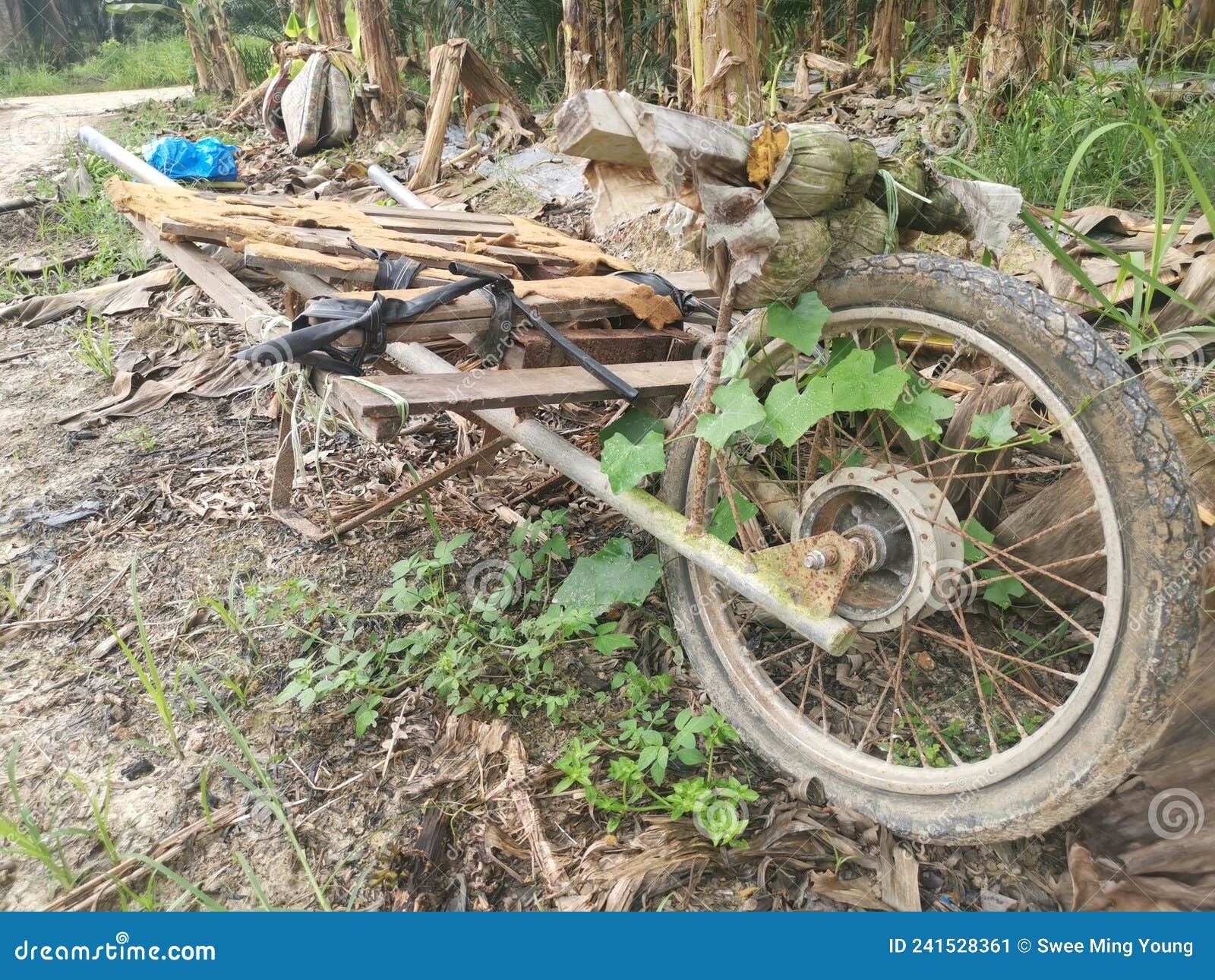 Modified Wheelbarrow With Two Front Wheels Royalty-Free Stock ...