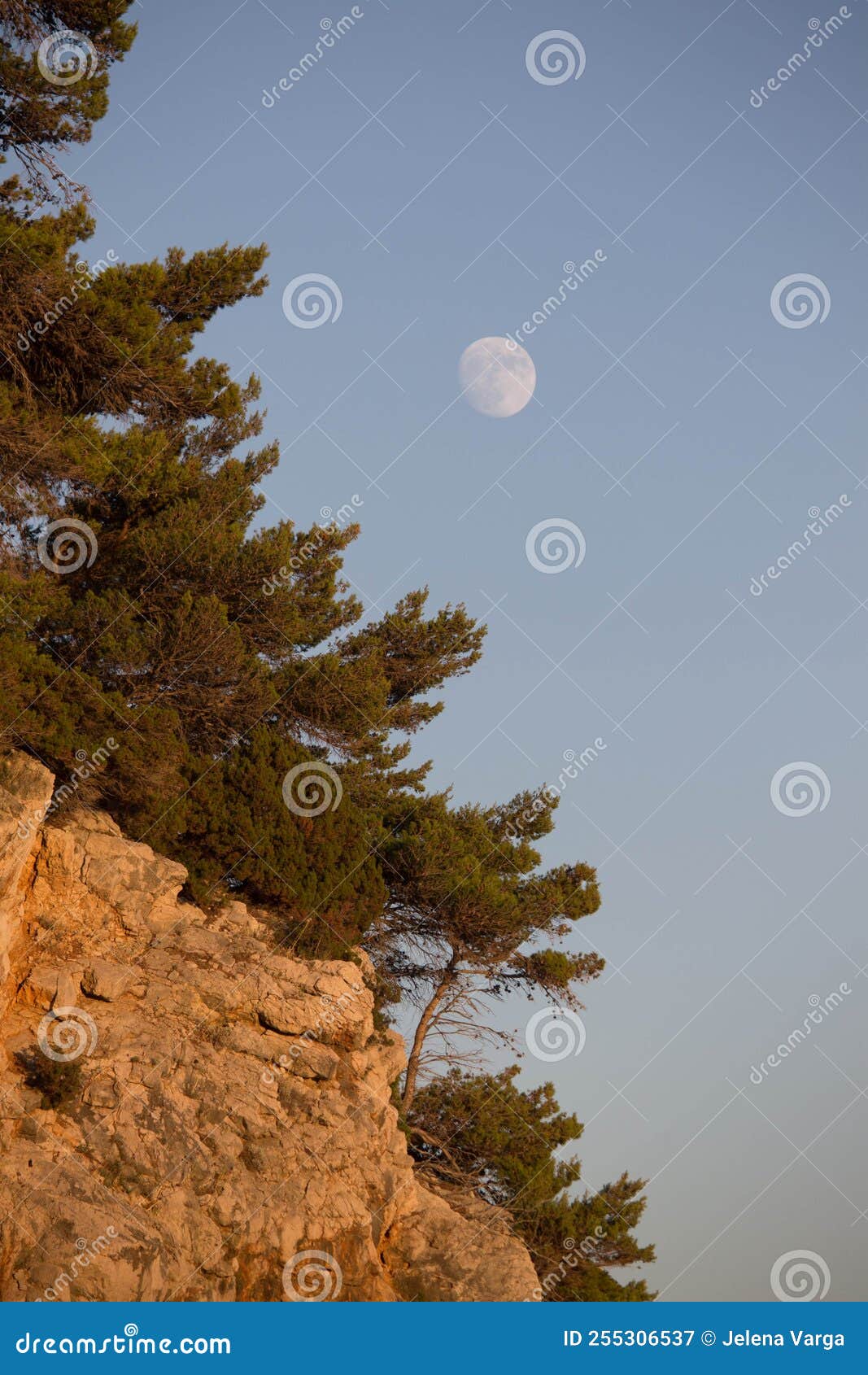 Image of moon in daylight stock image. Image of moon - 255306537