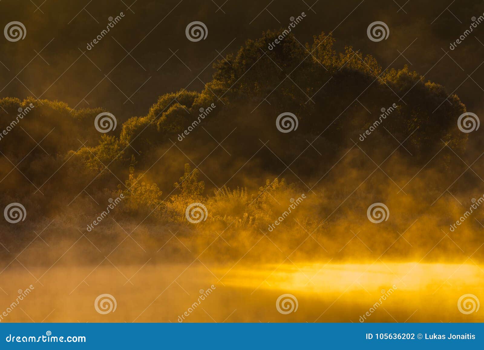 Morning Mist Over the Surface of Water Stock Photo - Image of purity ...
