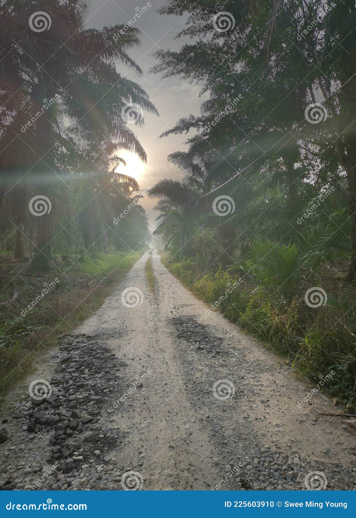 Morning Trail into the Countryside Farm Stock Photo - Image of ...