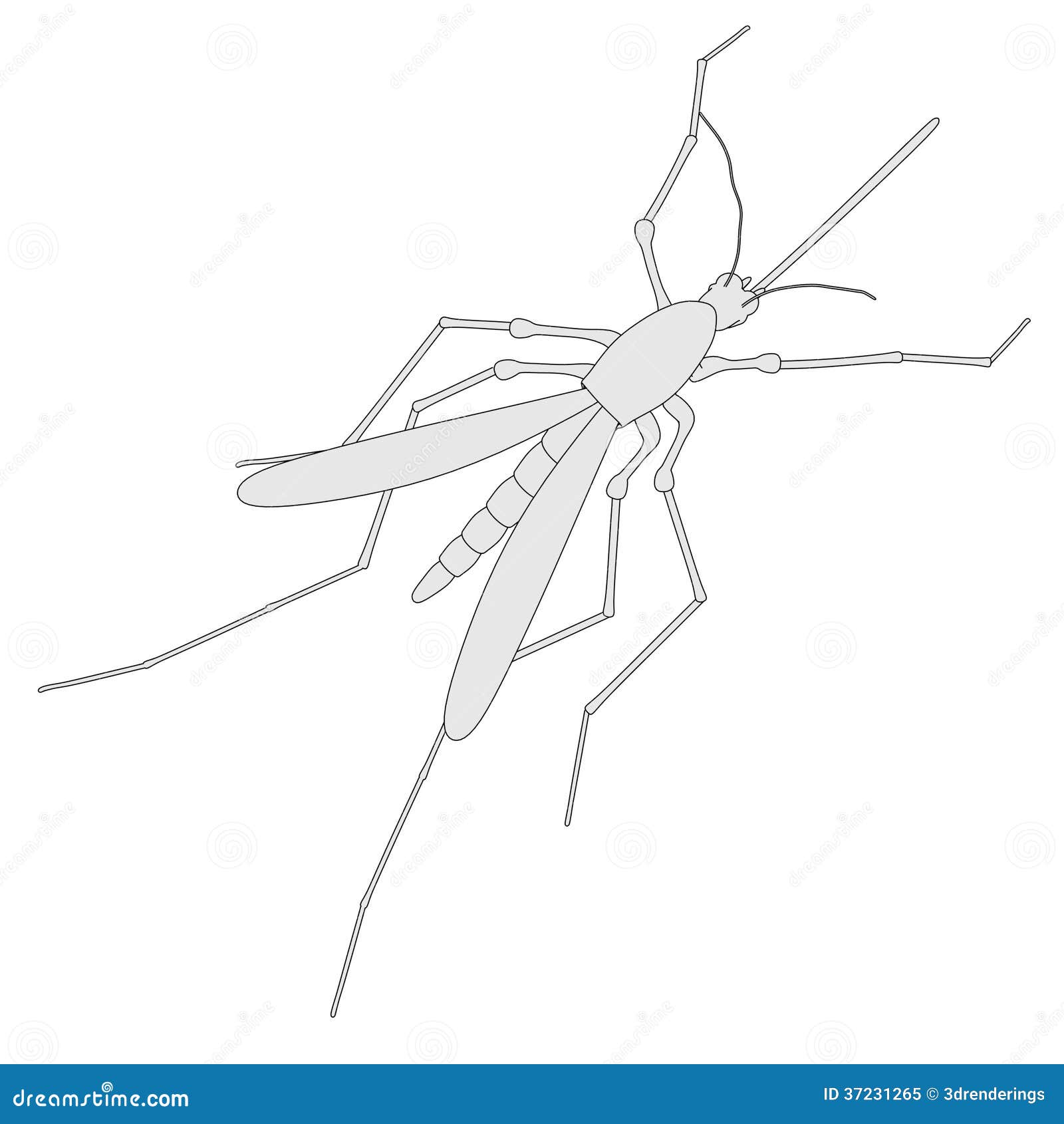 Image of mosquito insect stock illustration. Illustration of cartoon ...