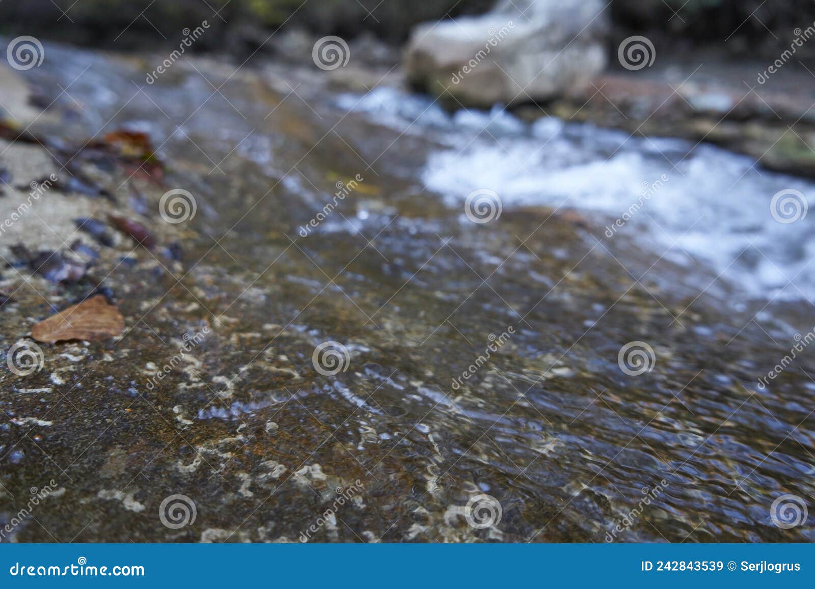 Mountain Stream in the Fall Stock Image - Image of clear, pristine ...