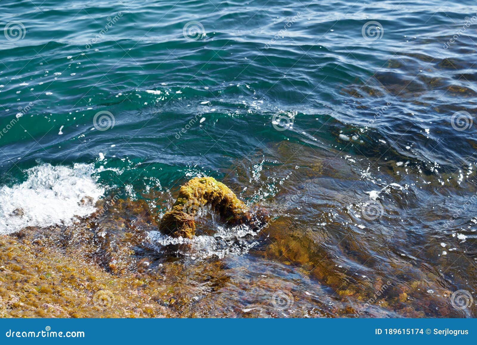 Image of a Mounting Anchor Overgrown with Algae. Stock Photo - Image of ...