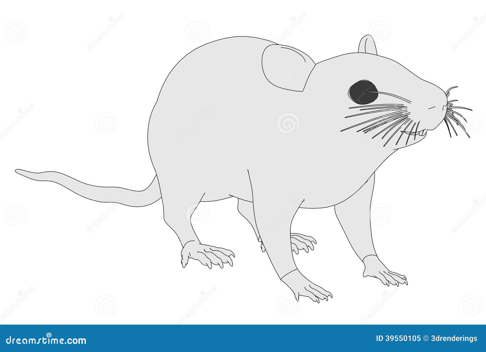 Image of mus musculus stock illustration. Illustration of drawing ...