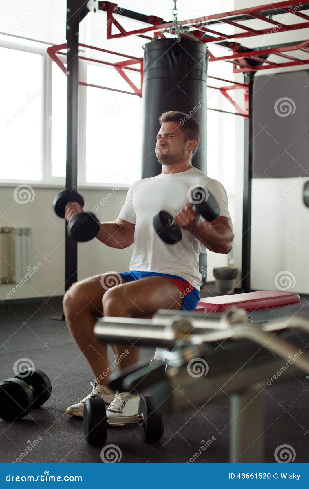 Image of Muscular Man Exercising in Gym Stock Photo - Image of building ...
