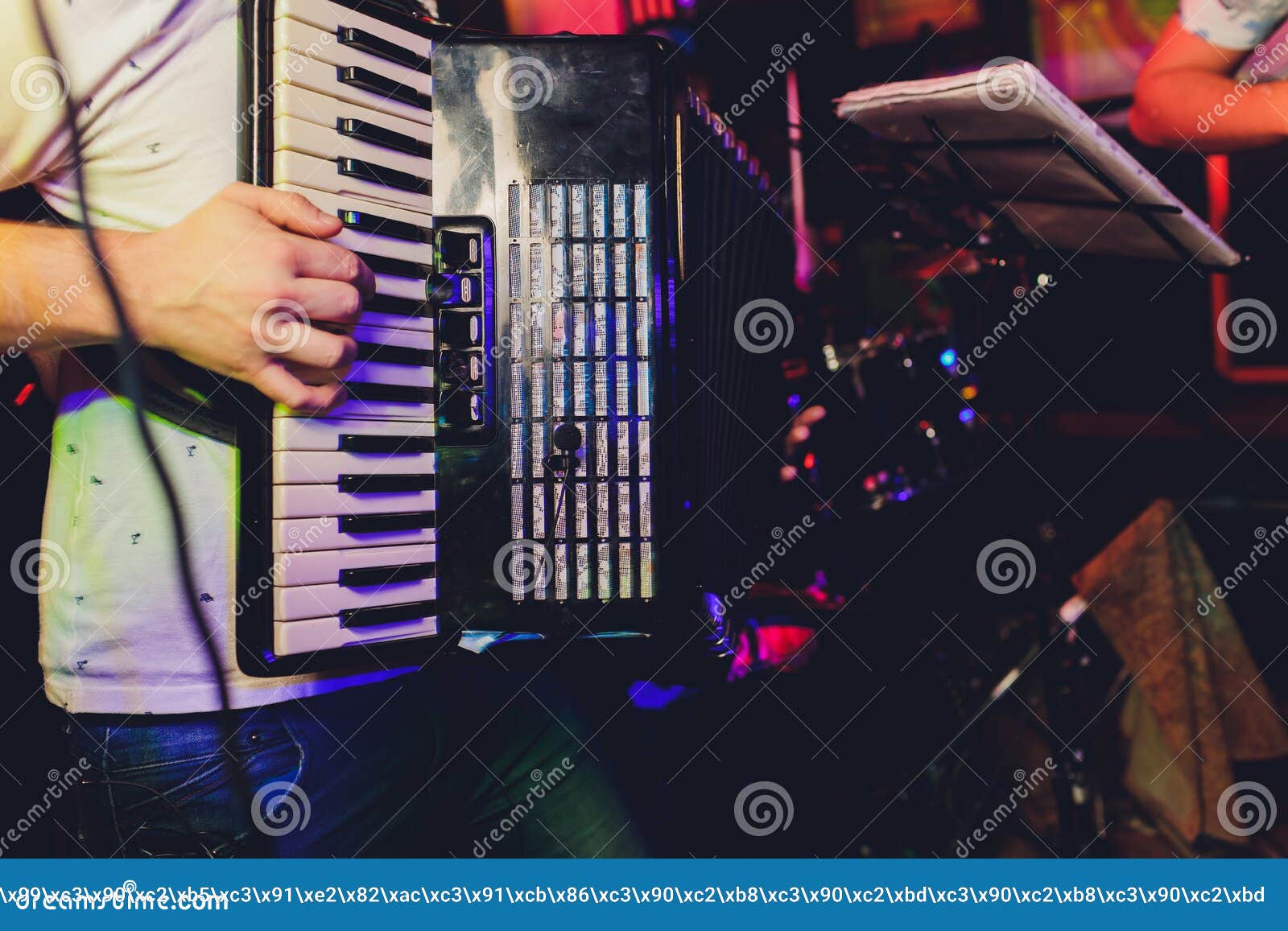 Image of Musician Playing on Accordion Closeup. Stock Image - Image of ...