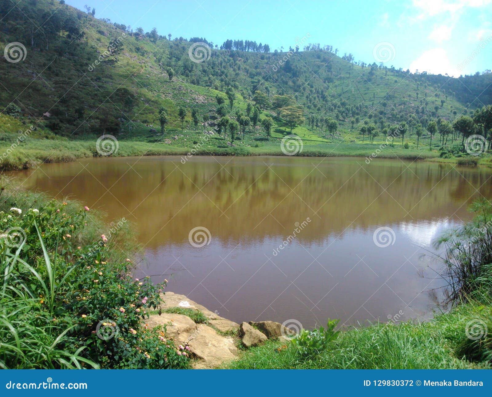 This Image is Lake of Sri Lanka Stock Photo - Image of bridge, real ...
