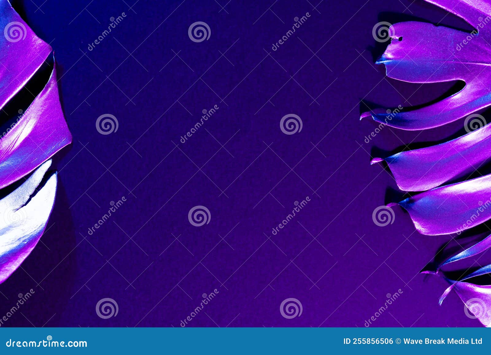 Image of Neon Lit Purple Leaves on Purple Background with Copy Space ...