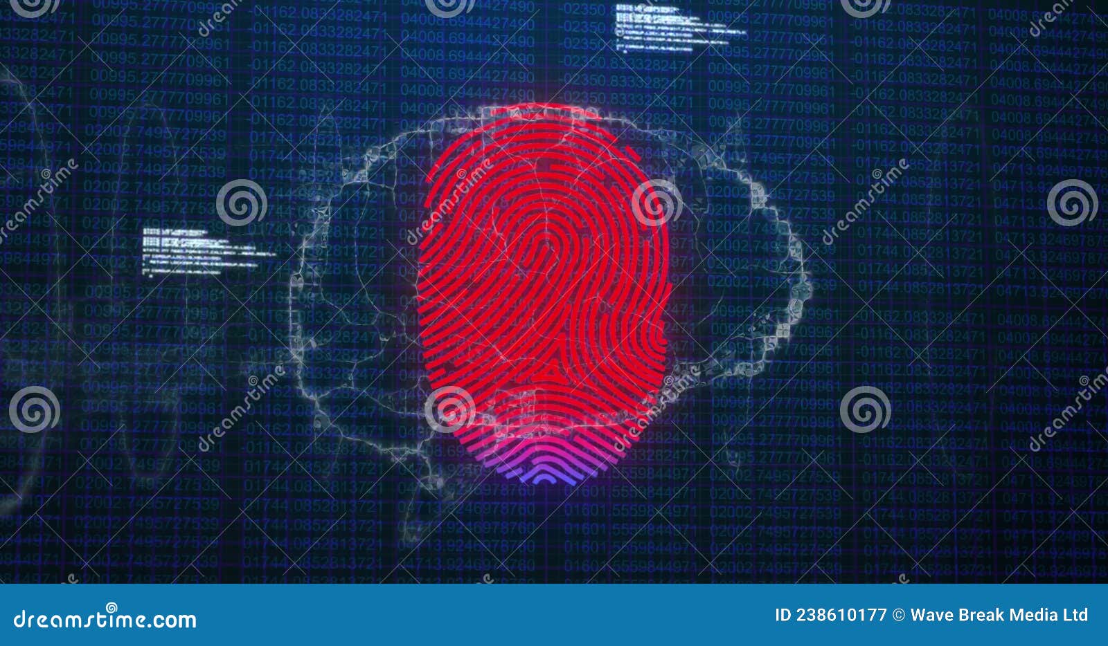 Image of Network of Connections with Biometric Fingerprint, Human Brain ...