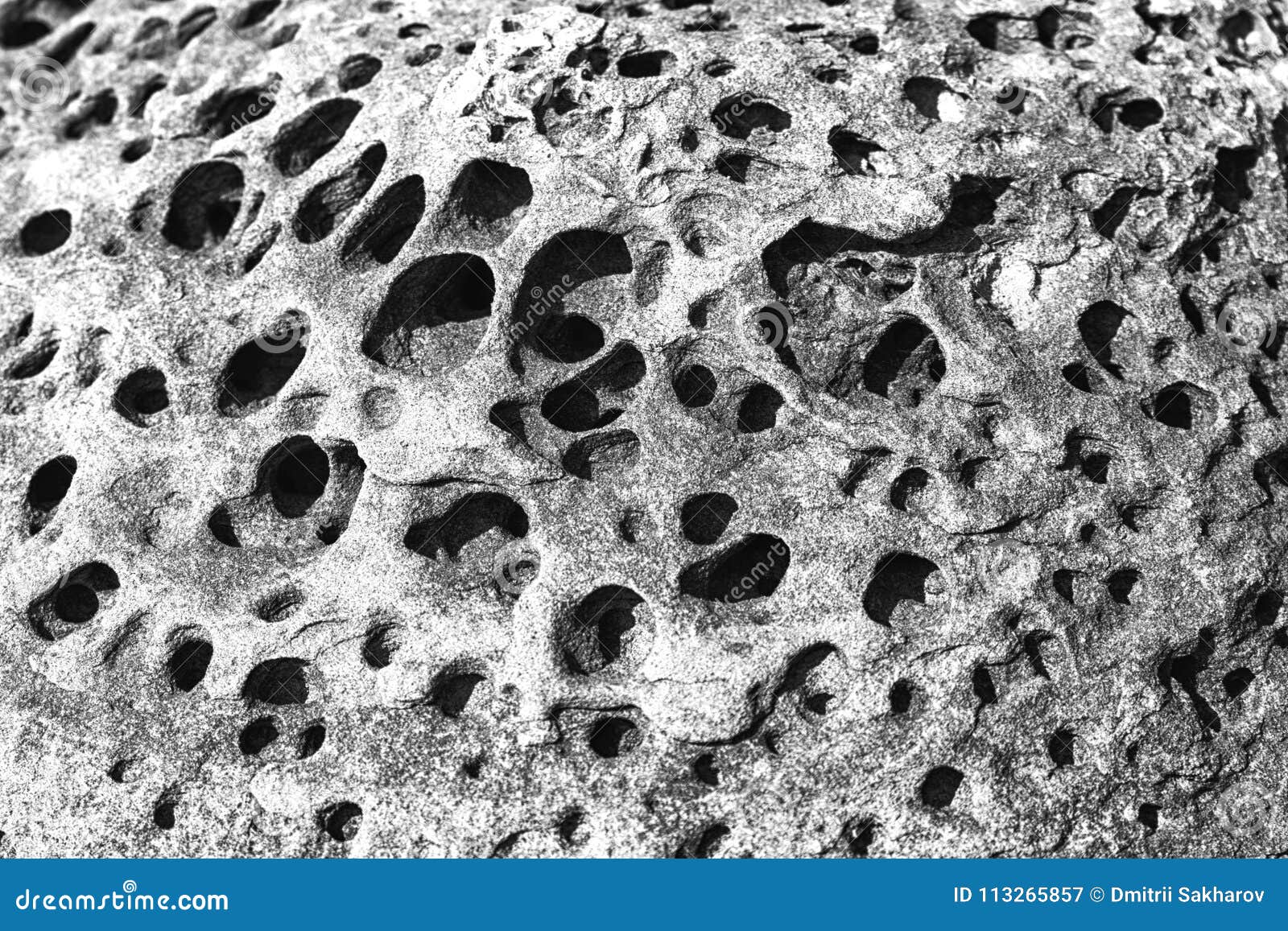Image Noire Et Blanche De Texture De Pierre Poreuse Image stock - Image ...