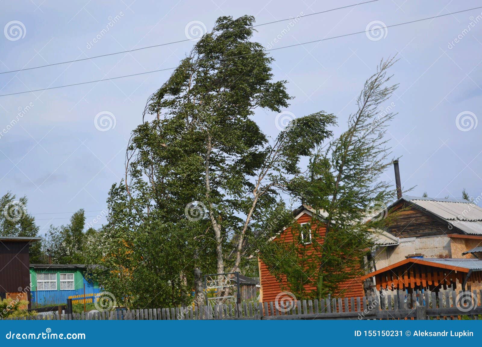 North cold strong wind stock image. Image of wind, north - 155150231