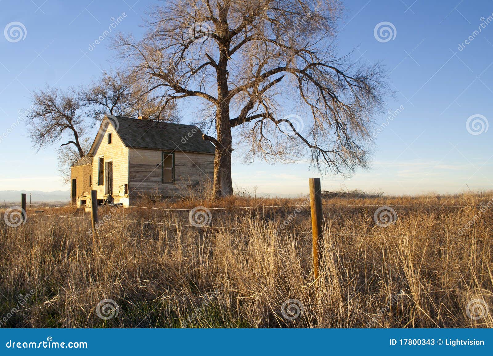 Image of a Old Abandoned House with Trees Stock Image - Image of house ...