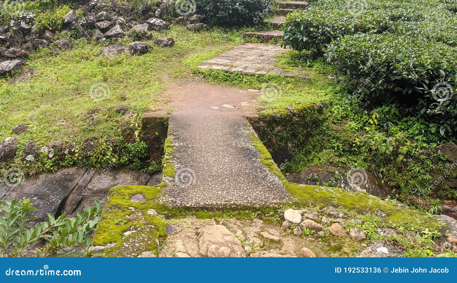 Image of Old Concrete Small Bridge Stock Photo - Image of pond, yard ...