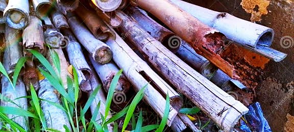Broken bamboo stock photo. Image of texture, tiled, frame - 298260114