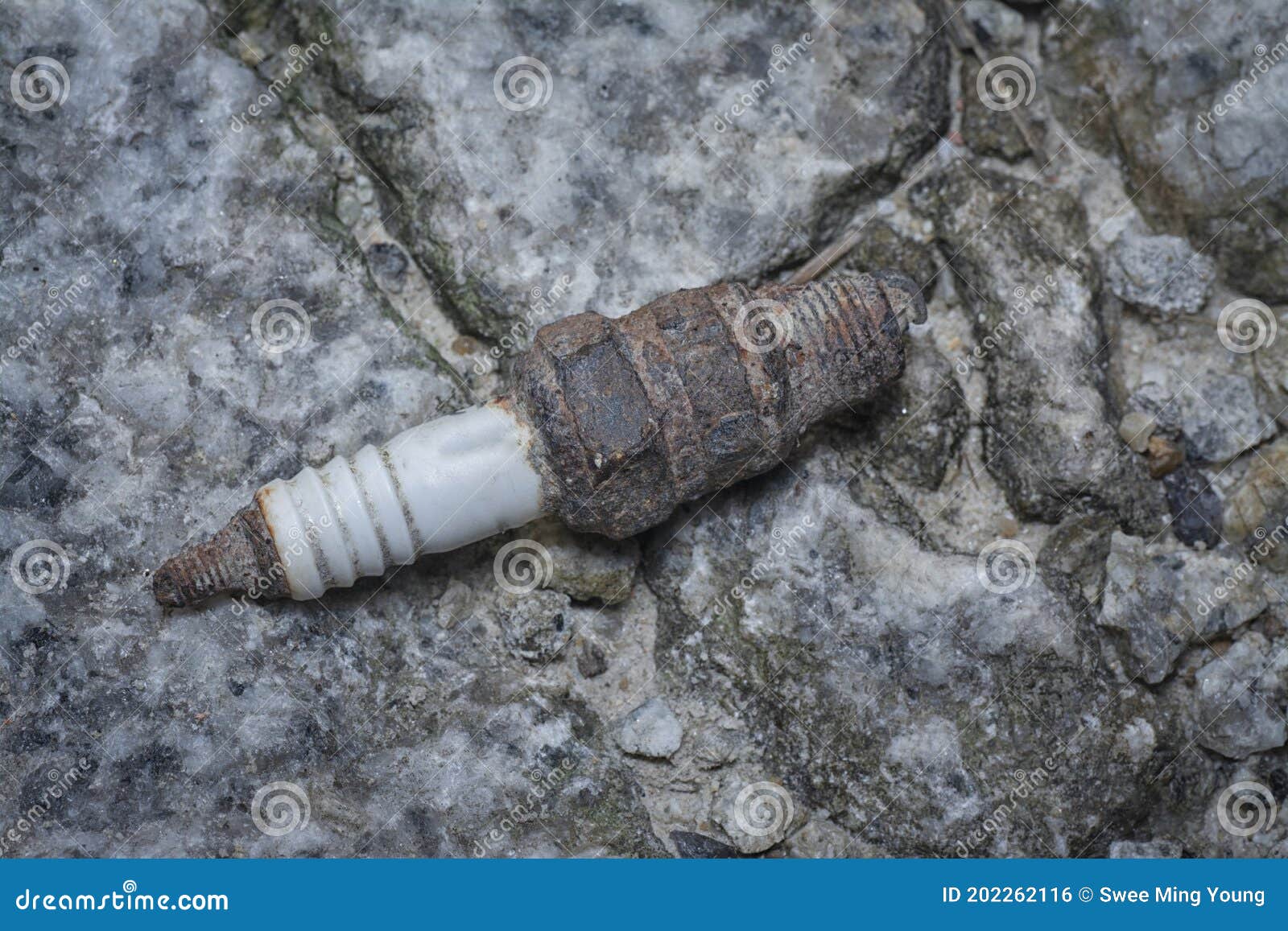 Image of an Old Rusty Spark Plug Stock Photo - Image of ceramic ...