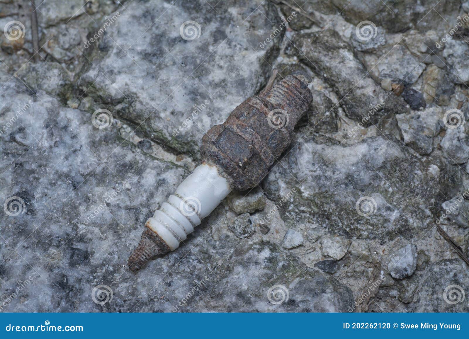 Image of an Old Rusty Spark Plug Stock Photo - Image of object, motor ...