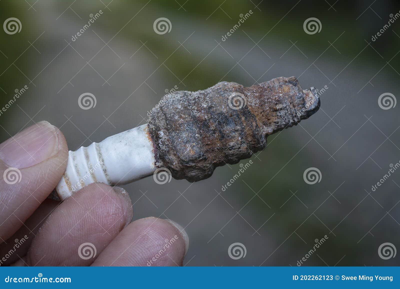 Image of an Old Rusty Spark Plug Stock Image - Image of metal ...