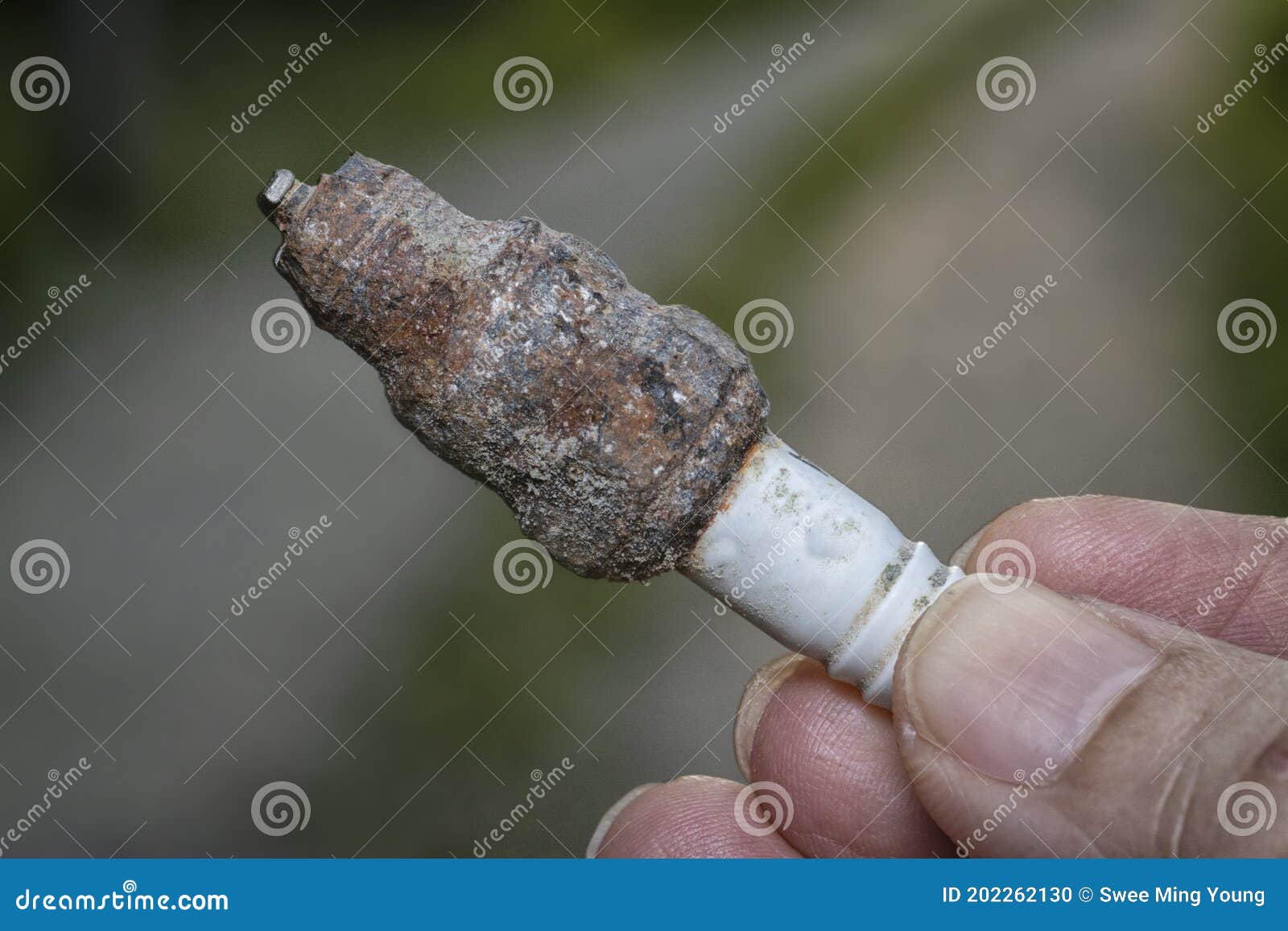 Image of an Old Rusty Spark Plug Stock Photo - Image of mechanic ...