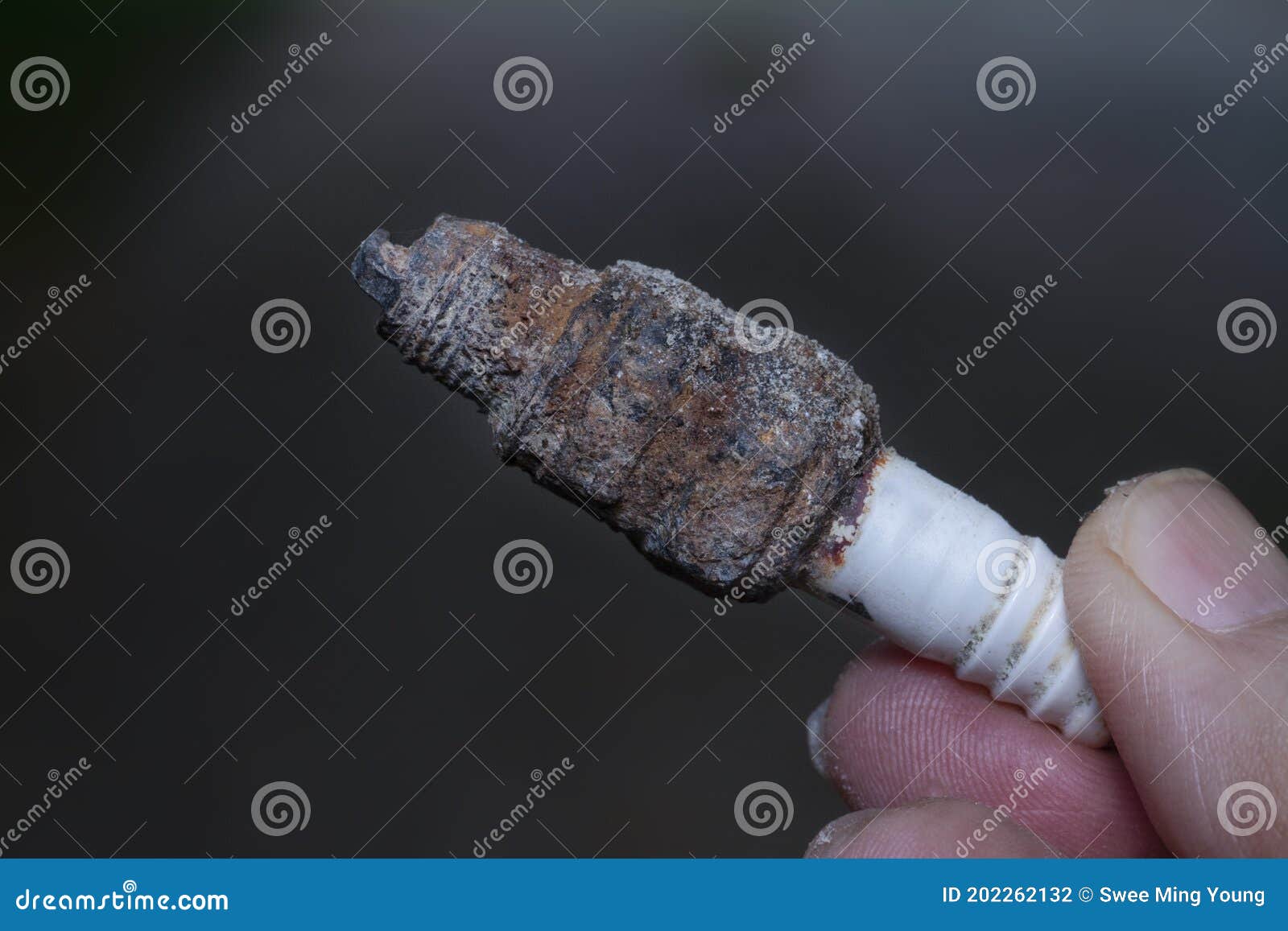 Image of an Old Rusty Spark Plug Stock Photo - Image of electric, fuel ...