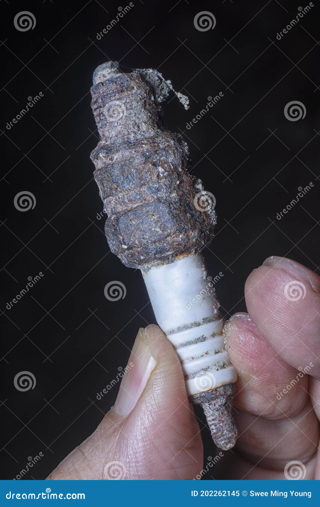 Image of an Old Rusty Spark Plug Stock Image - Image of motorcycle ...