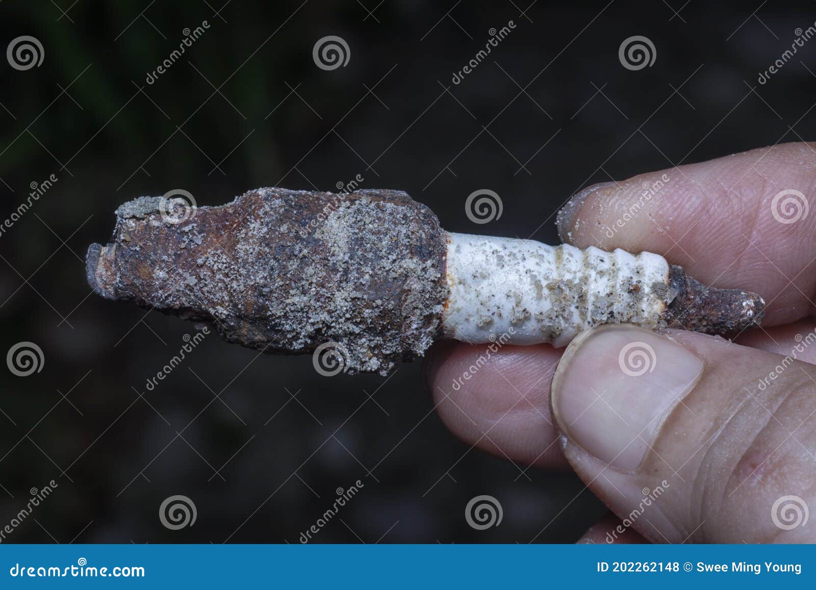 Image of an Old Rusty Spark Plug Stock Photo - Image of device ...