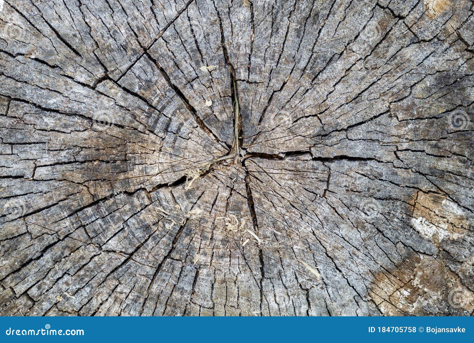 Old Weathered Cracked Wood Texture Stock Photo - Image of crack, detail ...