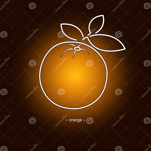 Image Orange in the Contours Stock Vector - Illustration of citrus ...