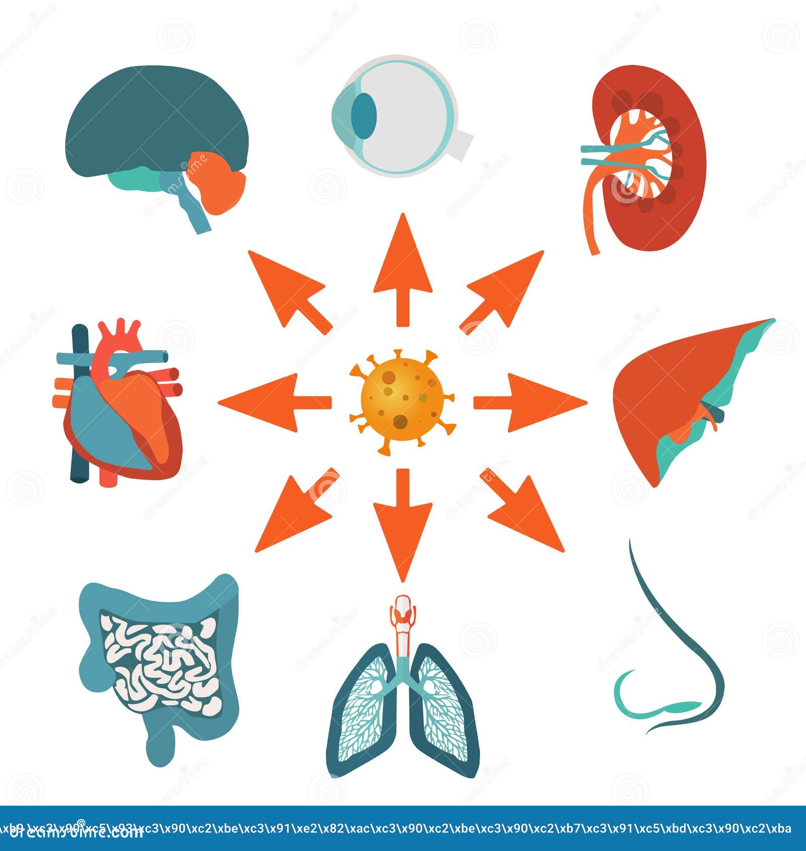 Image of Organs Affected by the Disease, Vector Illustration Stock ...