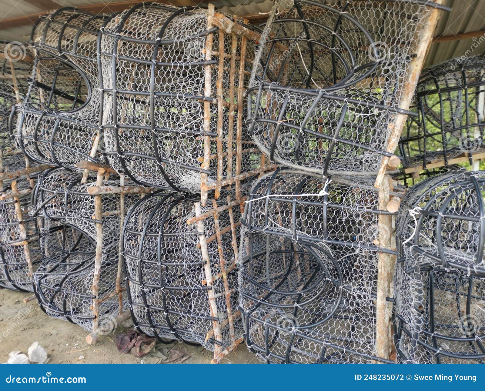 Outdoor Scene of the DIY Fish Trap Structure Make from Mangrove Wood ...