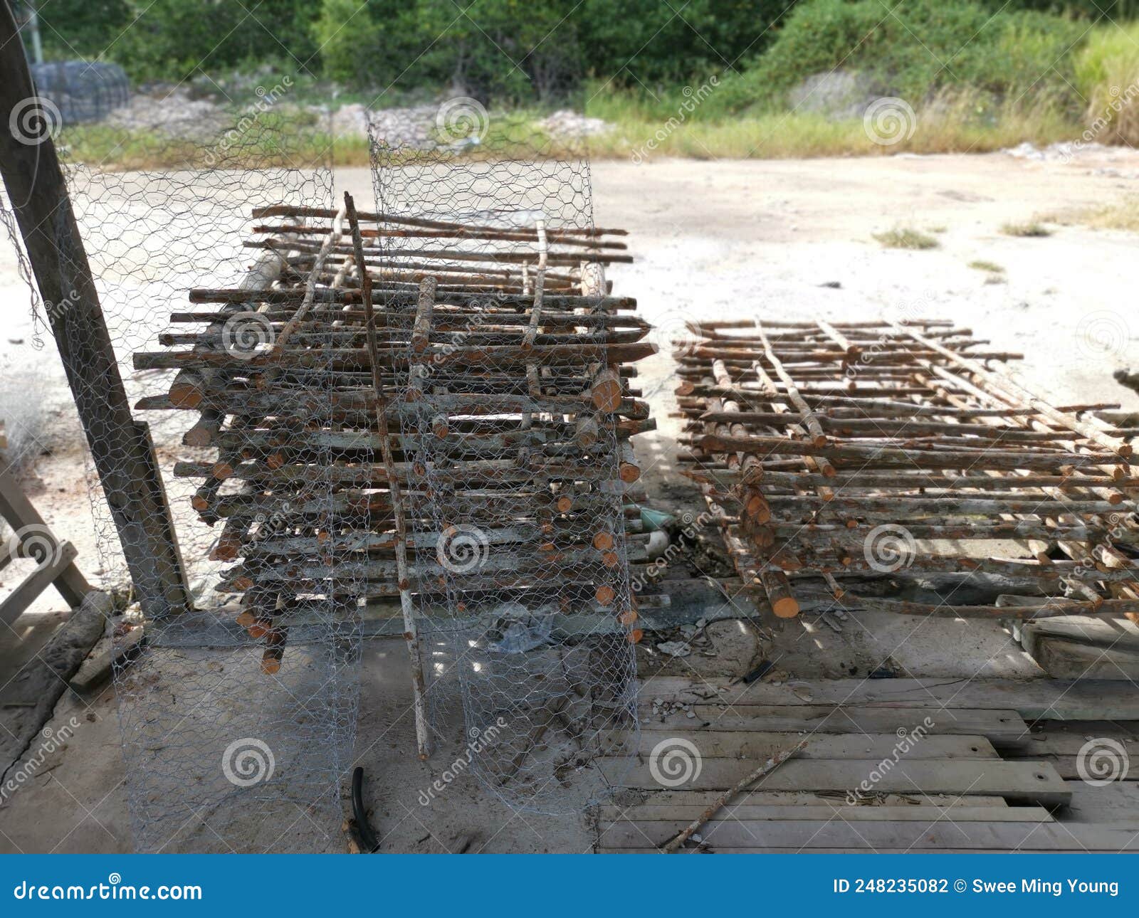 Outdoor Scene of the DIY Fish Trap Structure Make from Mangrove Wood ...