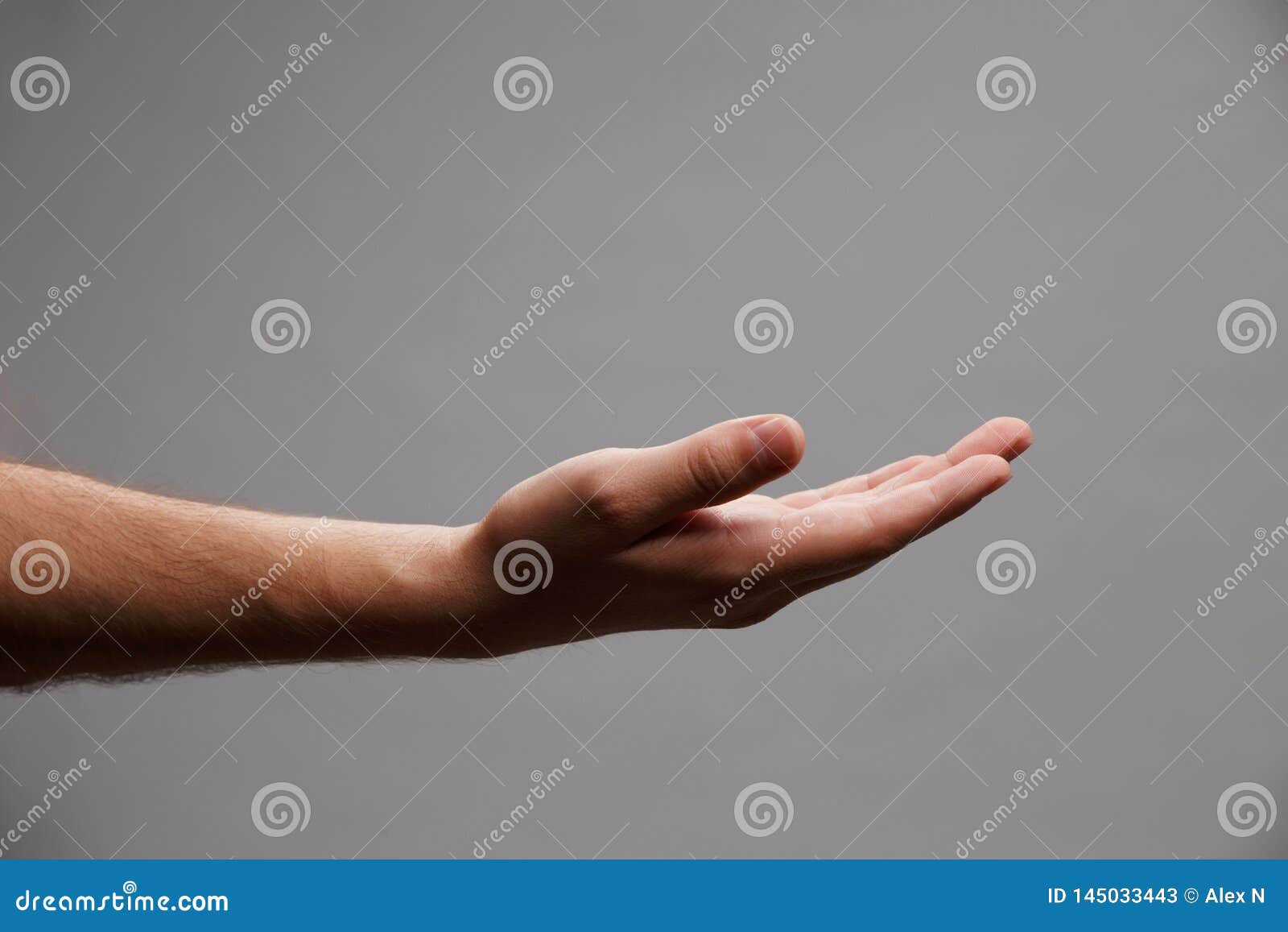 Image of Outstretched Hand Palm Up on Empty Gray Background. Stock ...